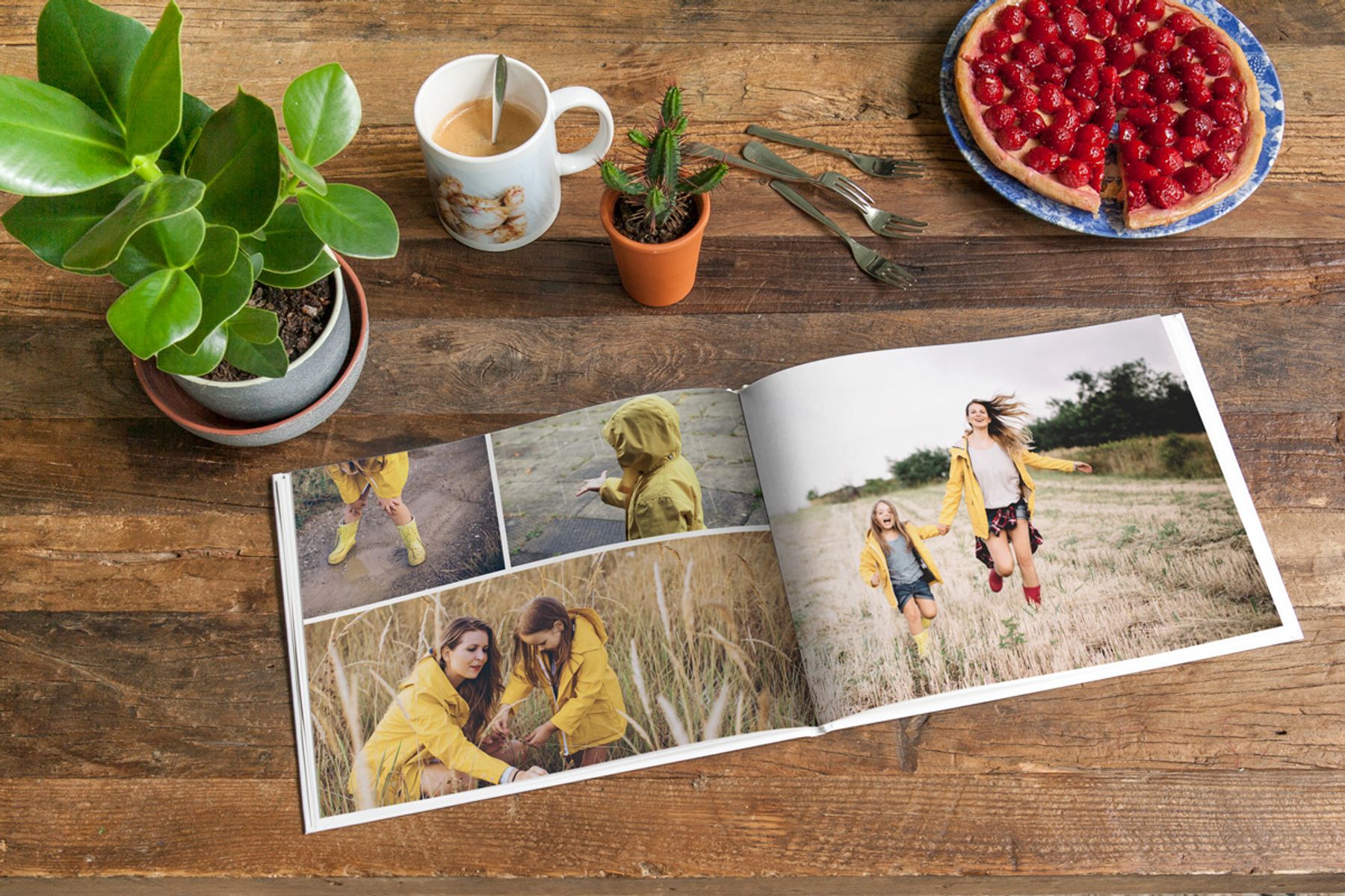 10 simple design tips for creating professional-looking photo books ...