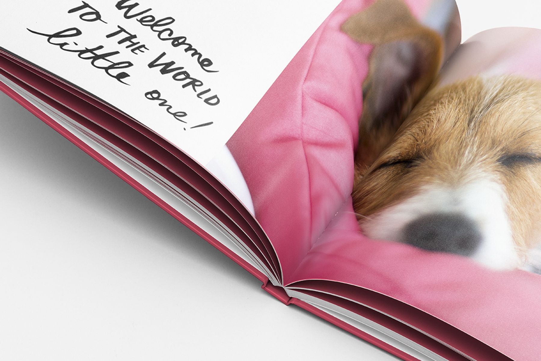 How to write great text for your bonusprint photo books