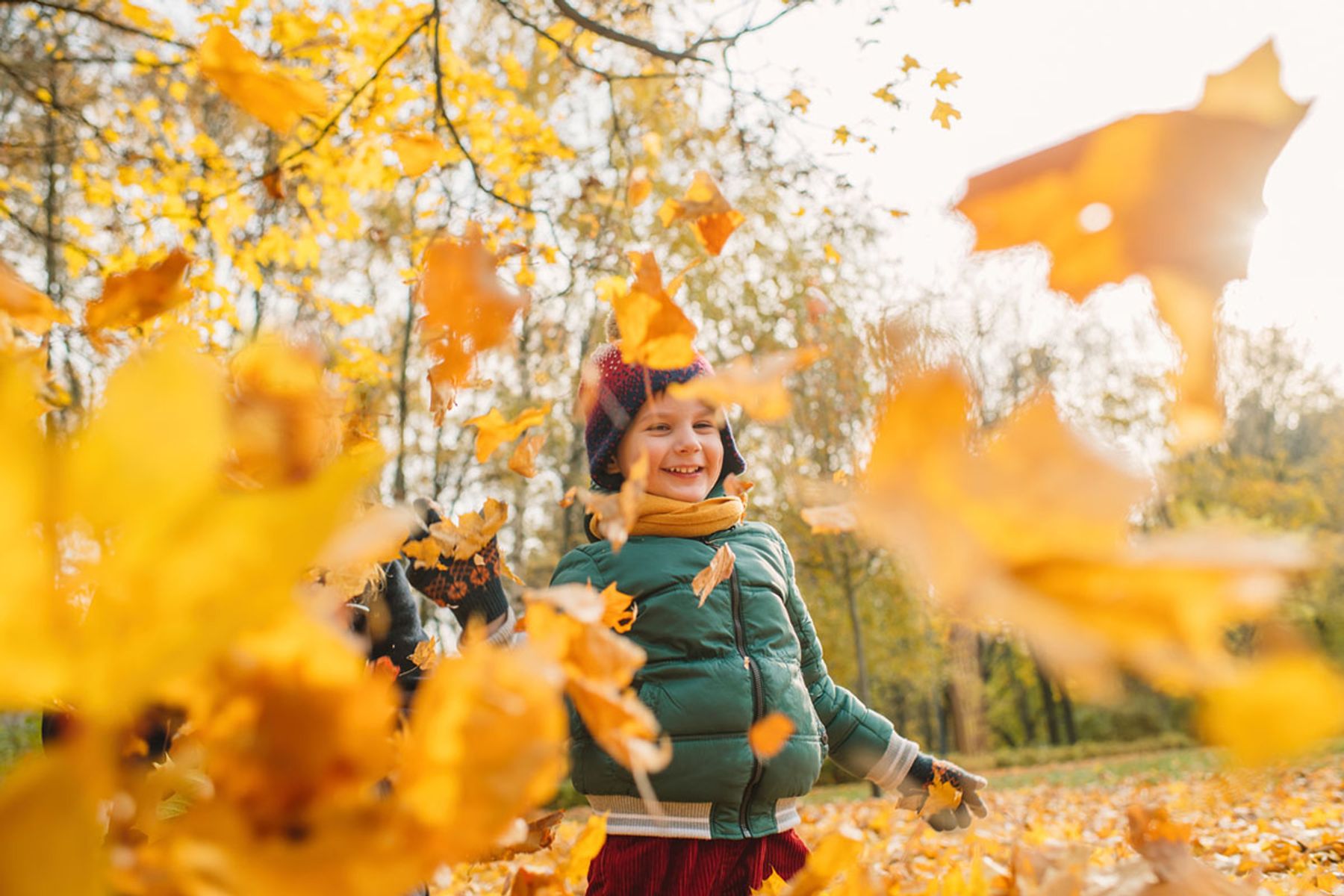 10 autumn photography tips | Photobox