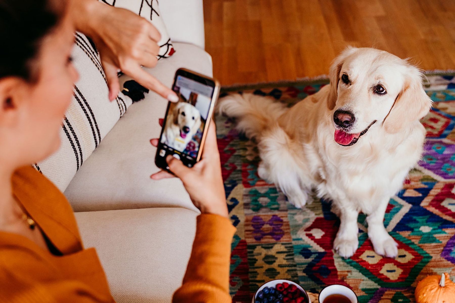 Top 10 Smartphone Photography Tips | Photobox