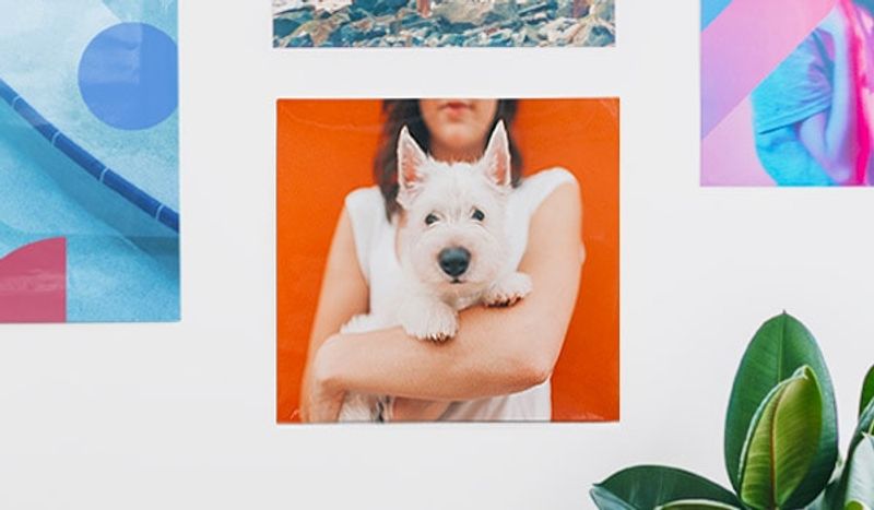 Square Poster Printing | Print Custom Square Photo Posters