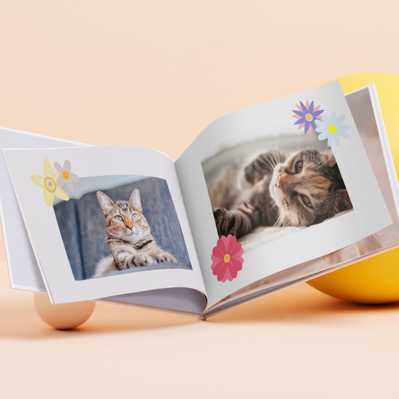Pet Photo Books | Personalised Pet Albums | Photobox