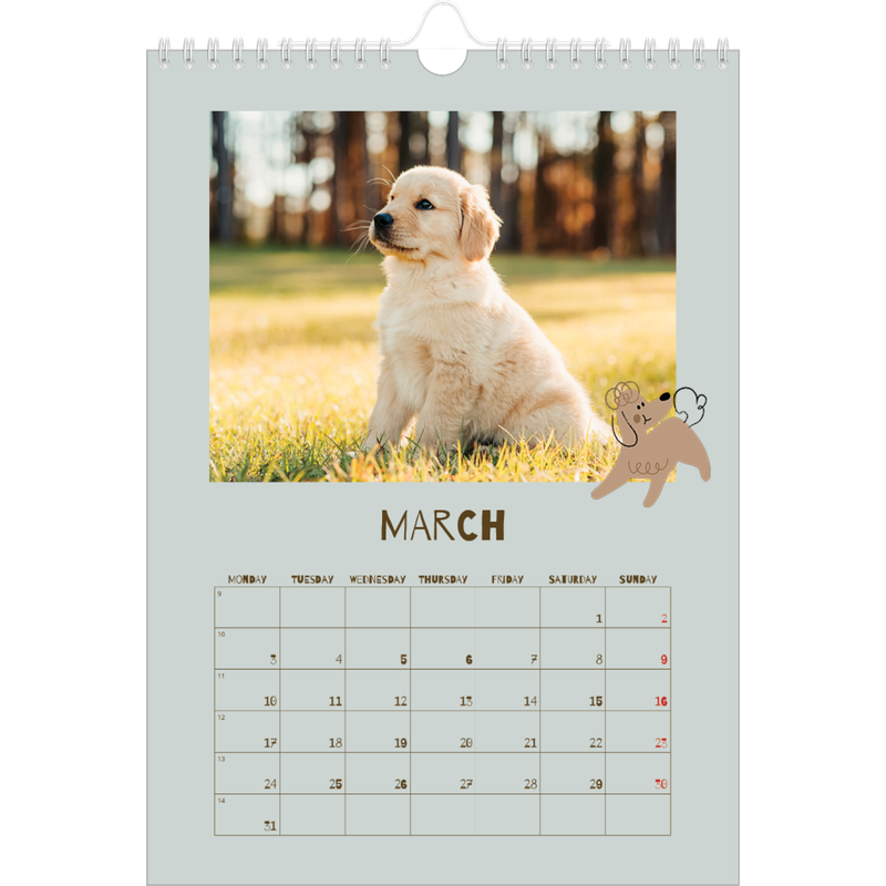 Playful puppy | Calendar A4