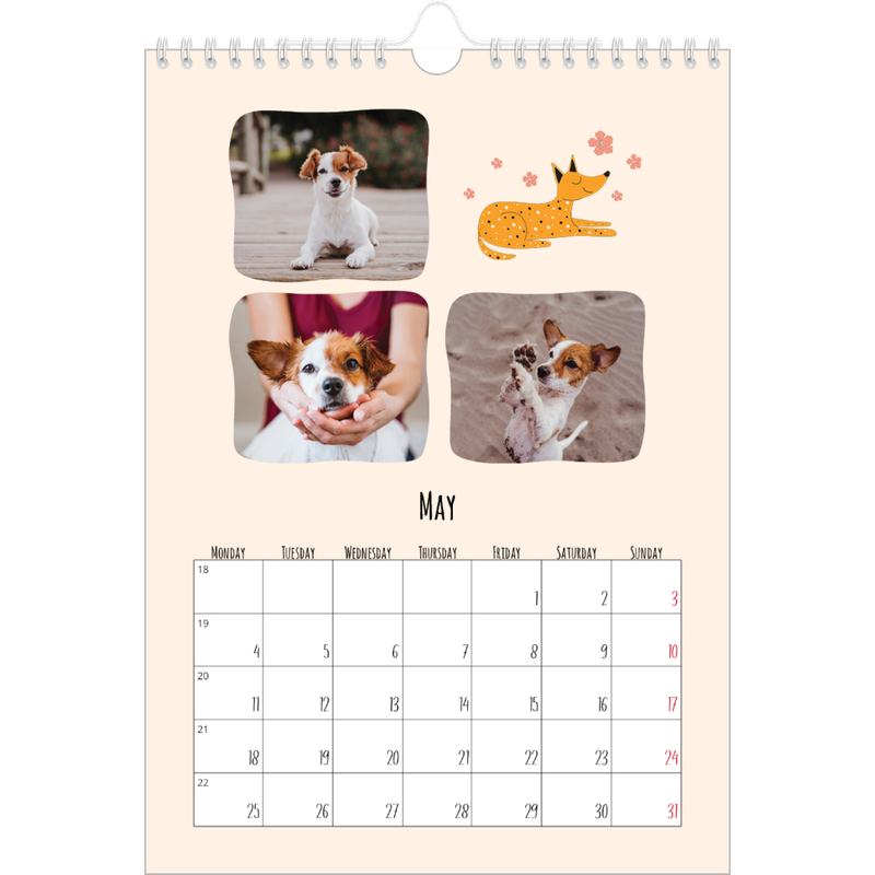Dog paws and doodles | Calendar A4